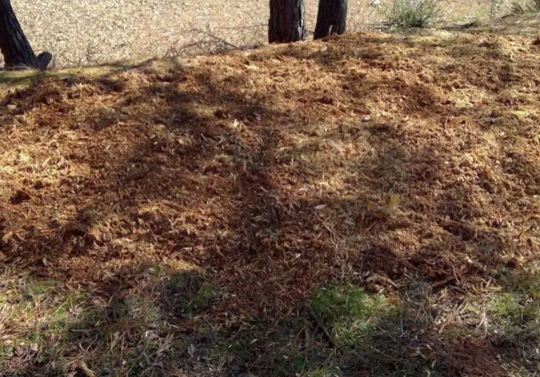 Going Green | Stump Grinder Company